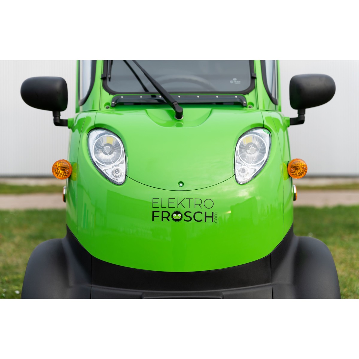 Elektrofrosch Max Lieferzeit Aktuell